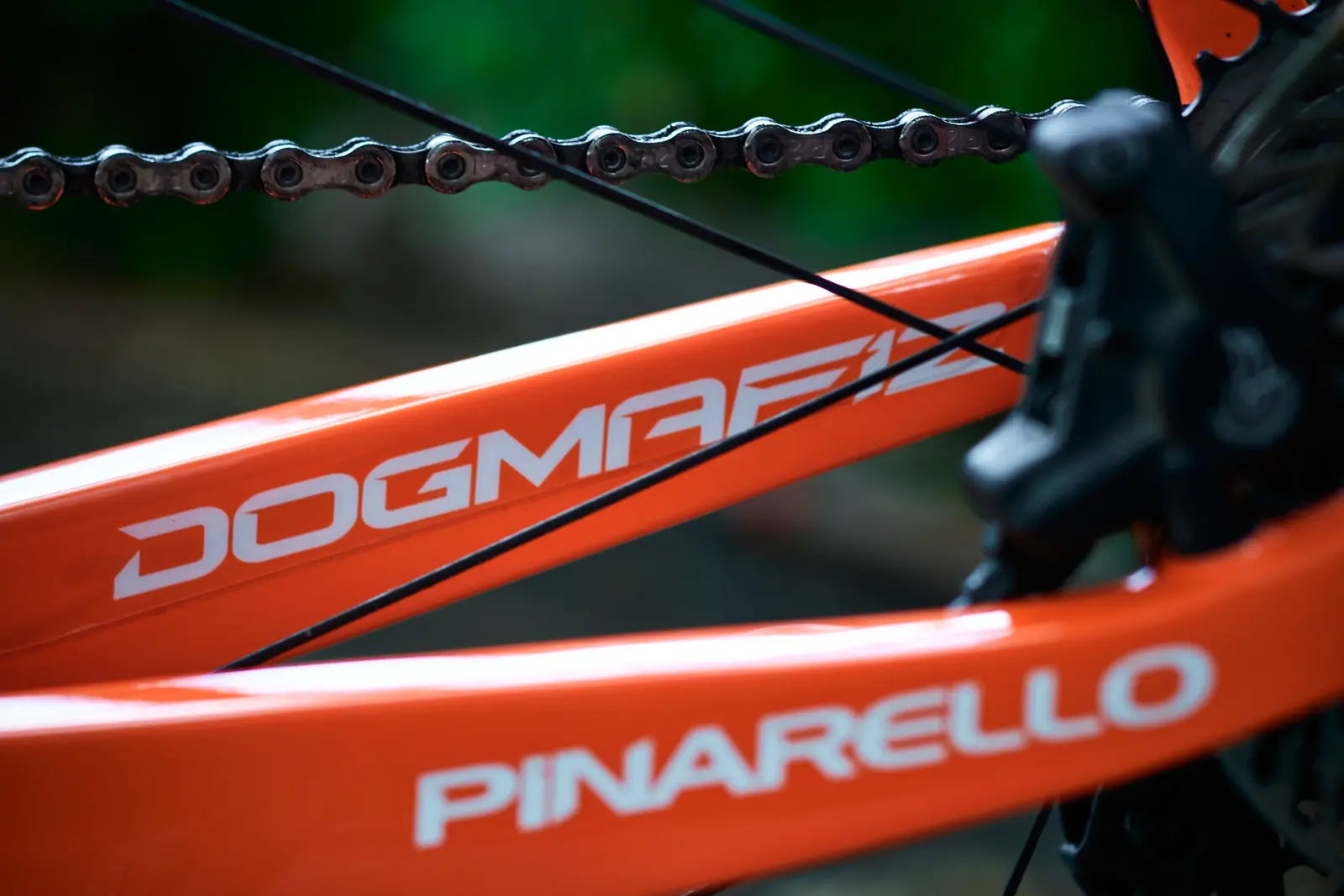 Pinarello F12 Chainstay Protector-Crystal-PSPCC0001AM – on9bike